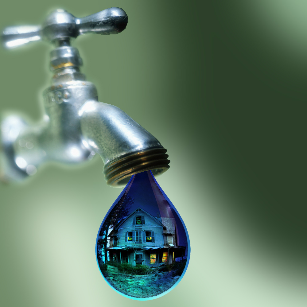 Watercare - Just What Is The Deal? - Auckland Property Investors ...