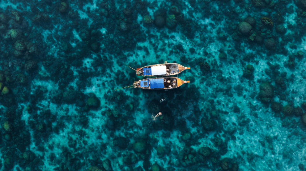 Auckland Property Investors Association - APIA