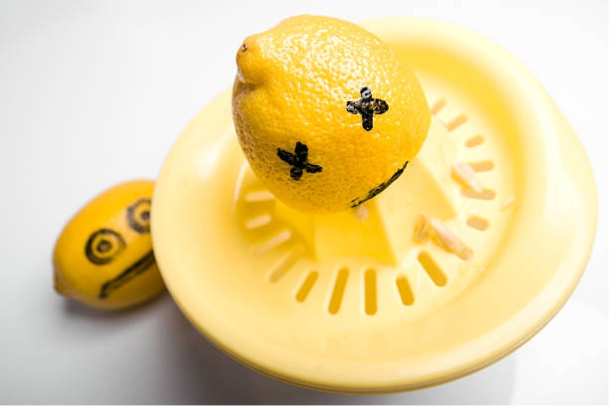 Auckland Property Investors Association - APIA