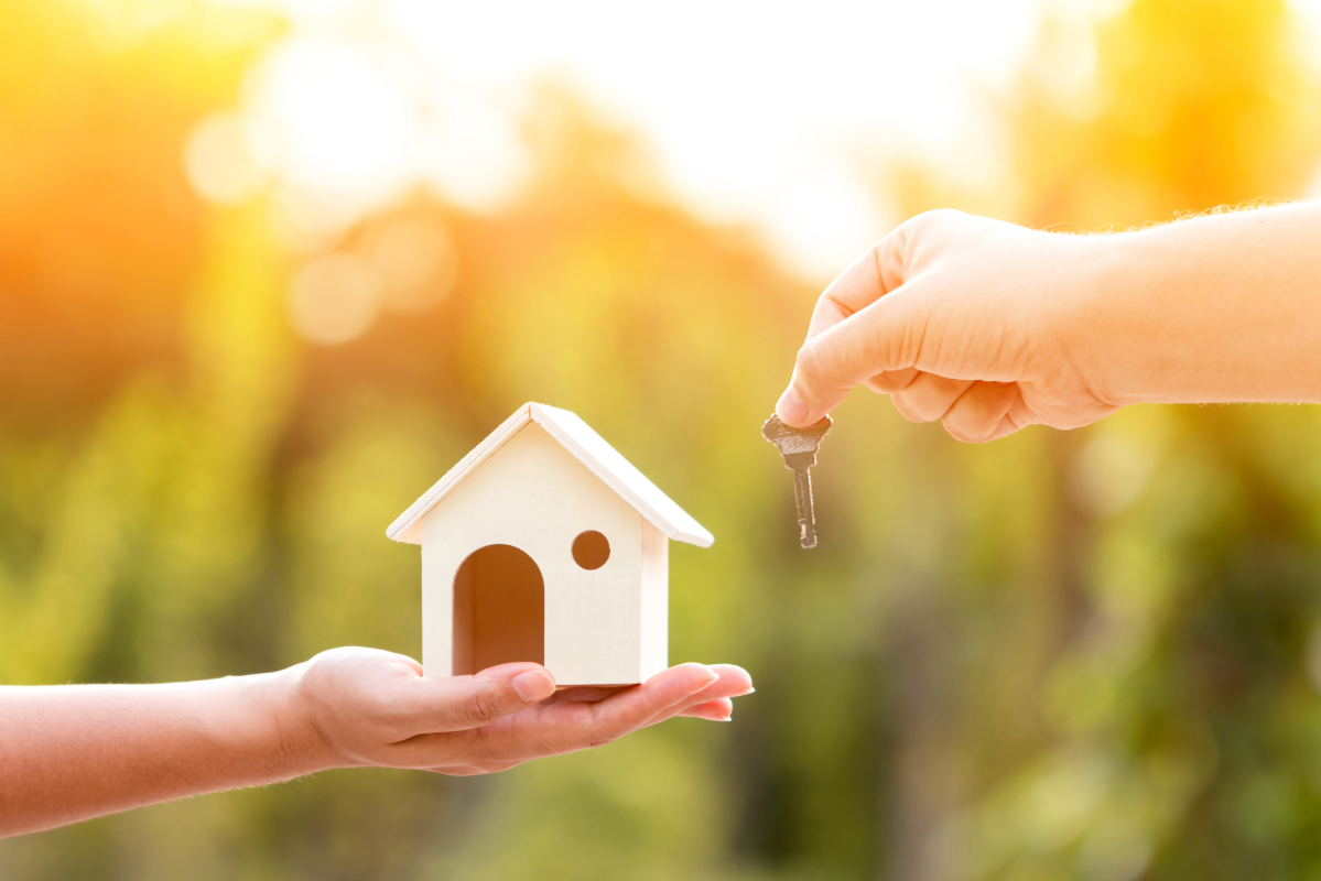 Healthy Homes Compliance Guide: Statements and Inspections - Auckland ...